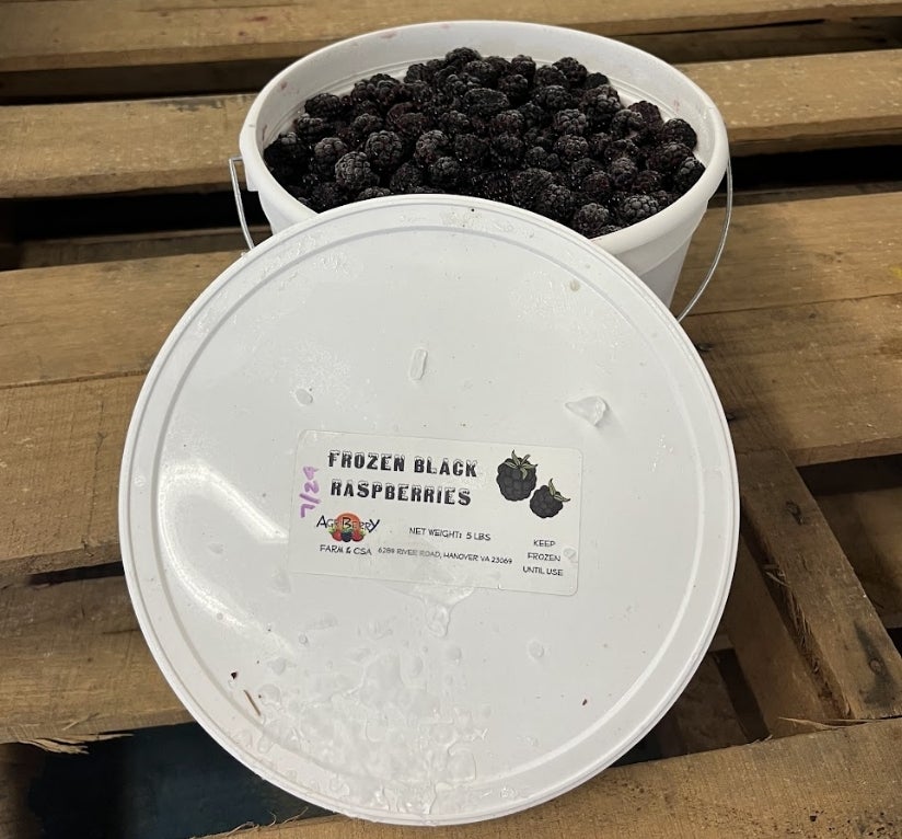 Frozen Black Raspberries - 4.8lb bucket | Agriberry Farm Online Store